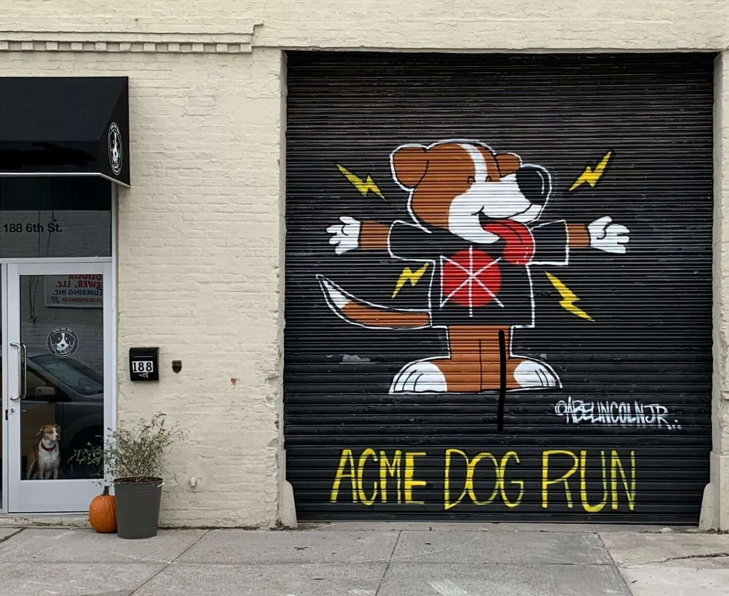 ACME Dog Run - Gowanus Guide